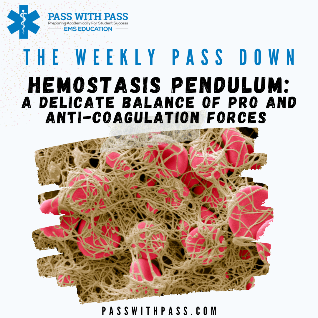 Hemostasis Pendulum: A Delicate Balance of PRO and ANTI-Coagulation Fo ...